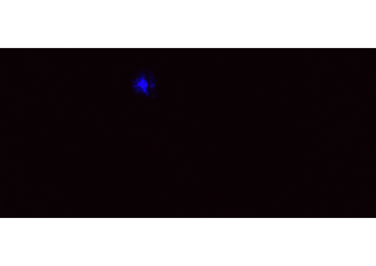 PDFReader 20250320 03 | PDF