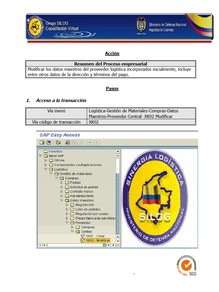 Modificación de Proveedores en SAP XK02 | PDF | Contabilidad | Informática