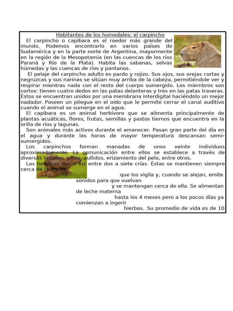 27 - TP - Intercambio - Comprensión Lectora CN-L Texto | PDF