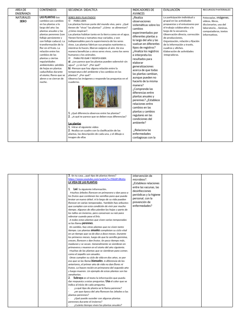 Area de Enseñanza Nat 2023 | PDF | Plantas | ensalada