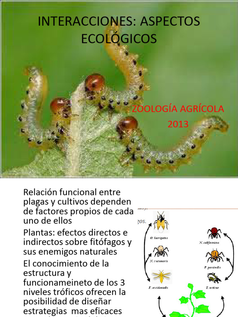 Inter Acci Ones | PDF | Depredación | Control biológico de plagas