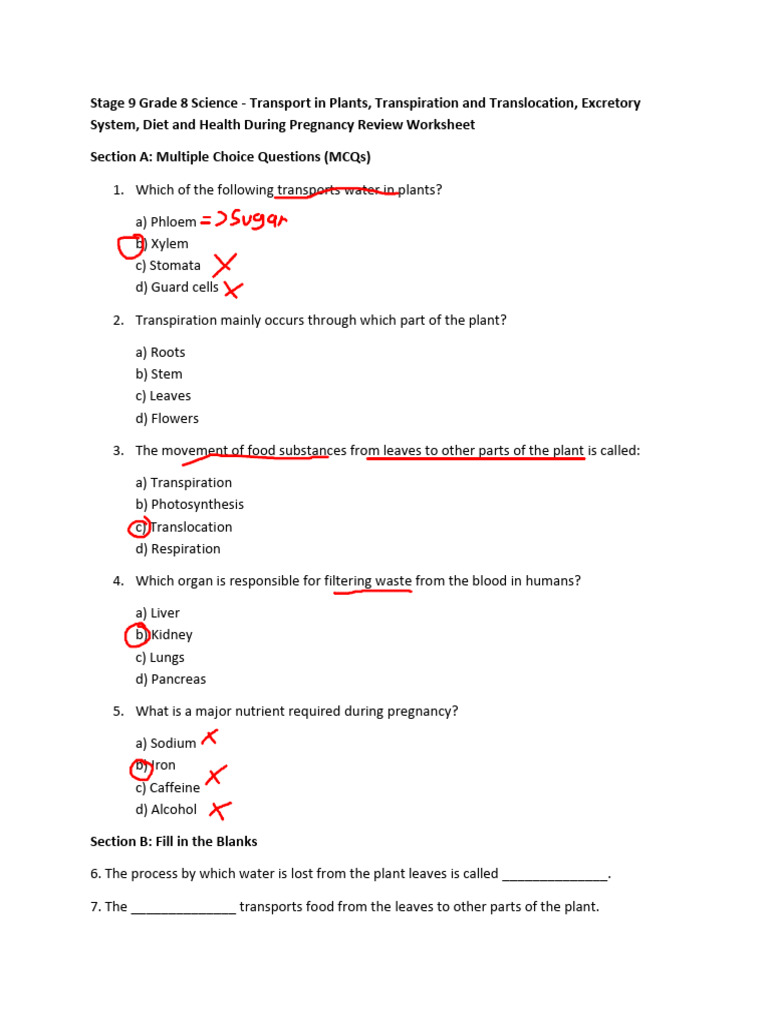 Topic 4 Worksheet Answer Key | PDF | Excretion | Leaf