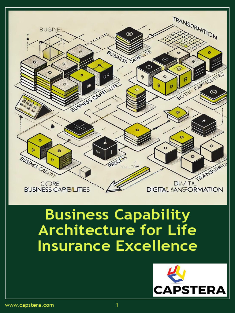 Business Capability Mapping For Life Insurers | PDF | Governance ...