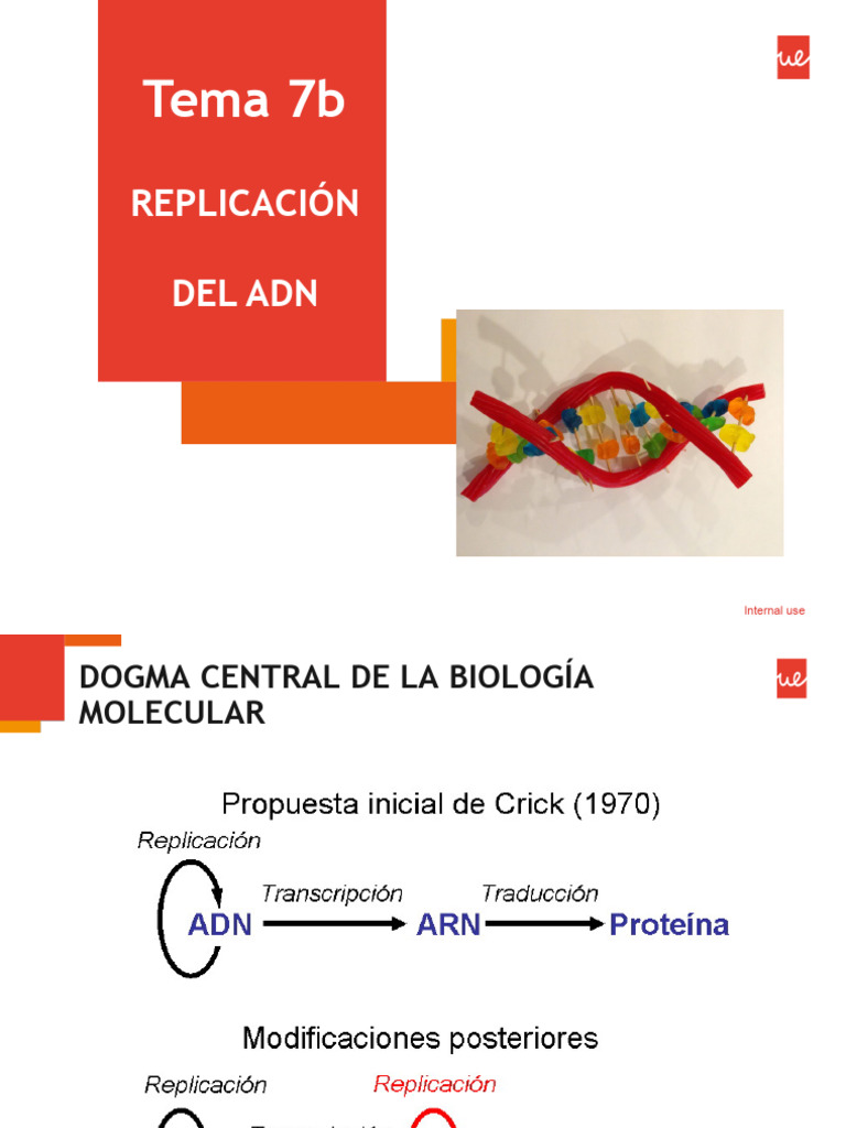 T7b +Replicación+del+ADN | PDF | Replicación De Adn | Adn