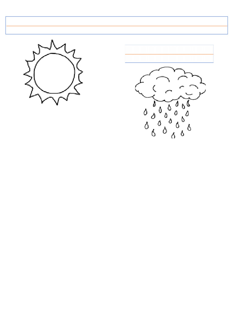 Week5 Activity | PDF