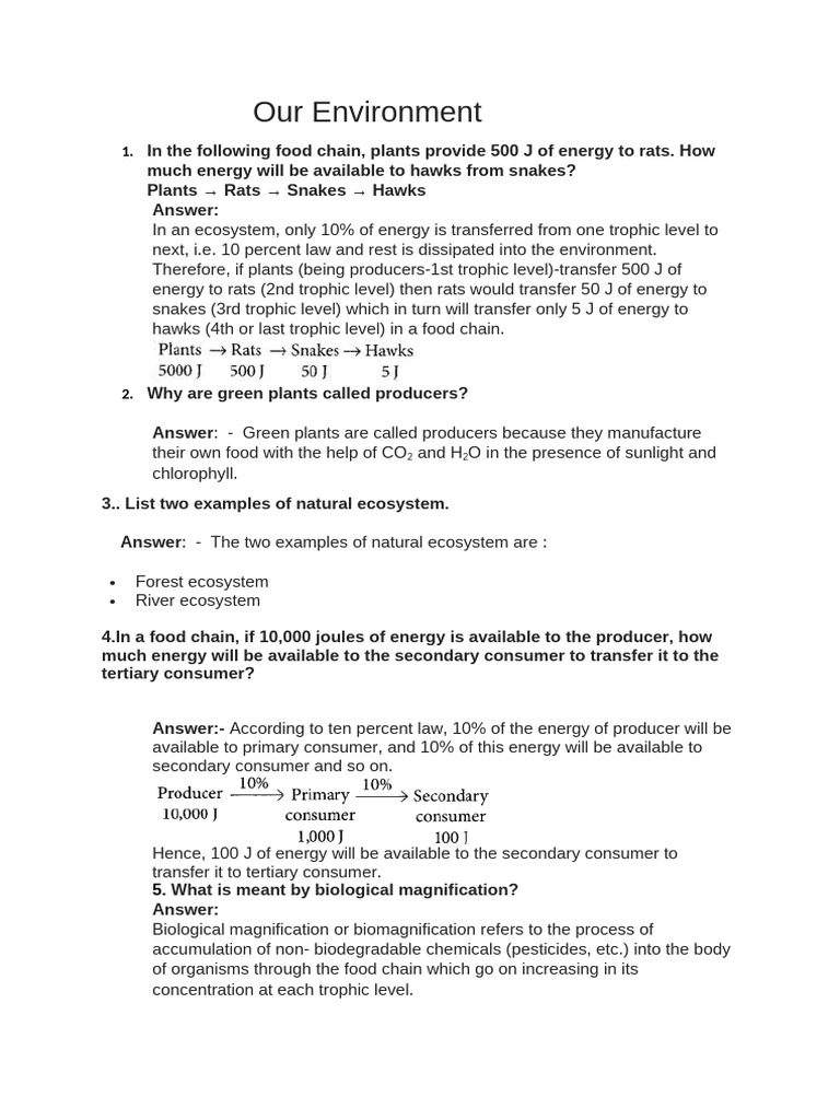 Our Environment Question Answer | PDF