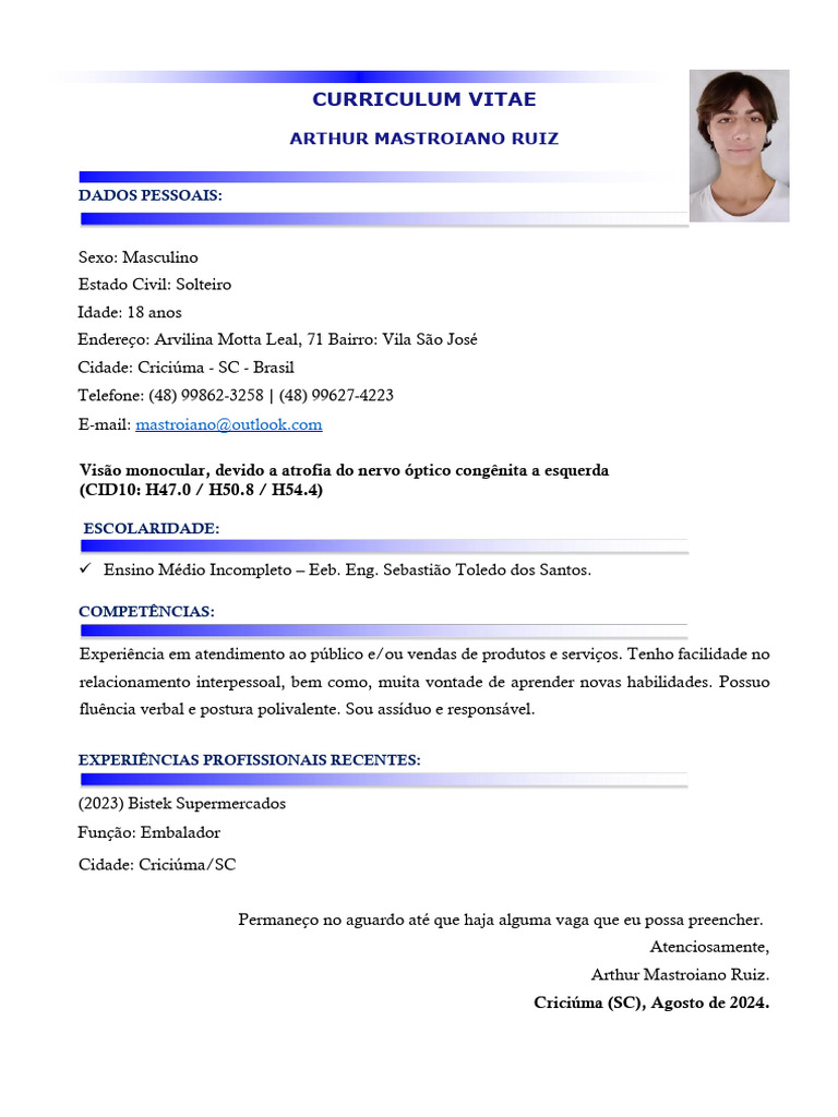 Curriculum - Vitae Arthur 2024 | PDF