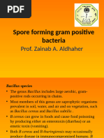 Encapsulated Vs Non Encapsulated Gram Positive Bacteria | PDF