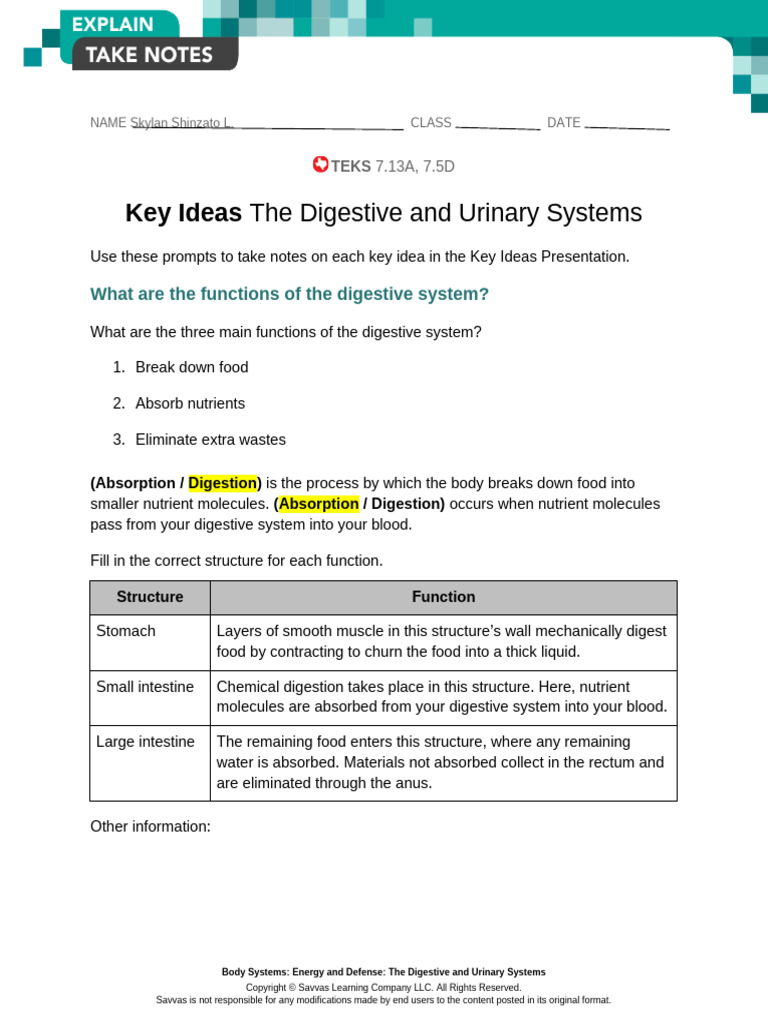 Notes Assignment: The Digestive & Urinary Systems | PDF | Digestion ...