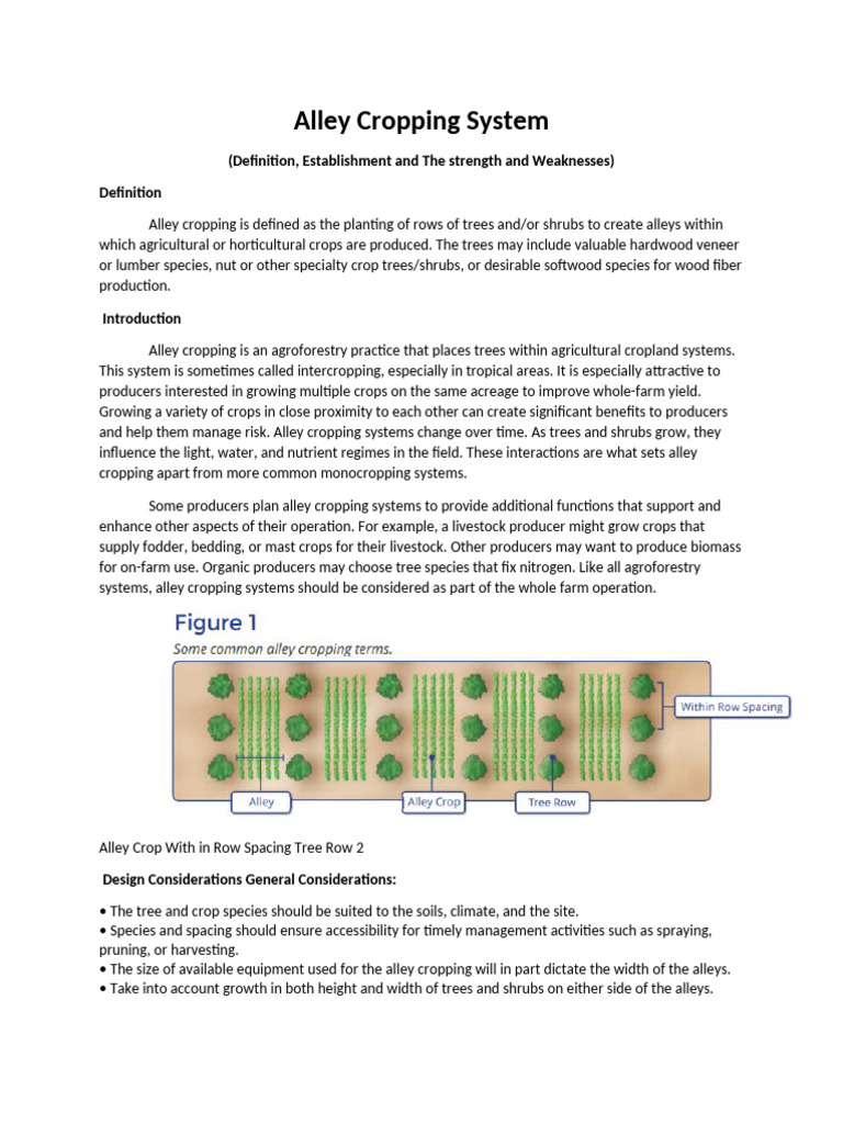 Alley Cropping: Benefits and Design Tips | PDF | Agriculture | Trees