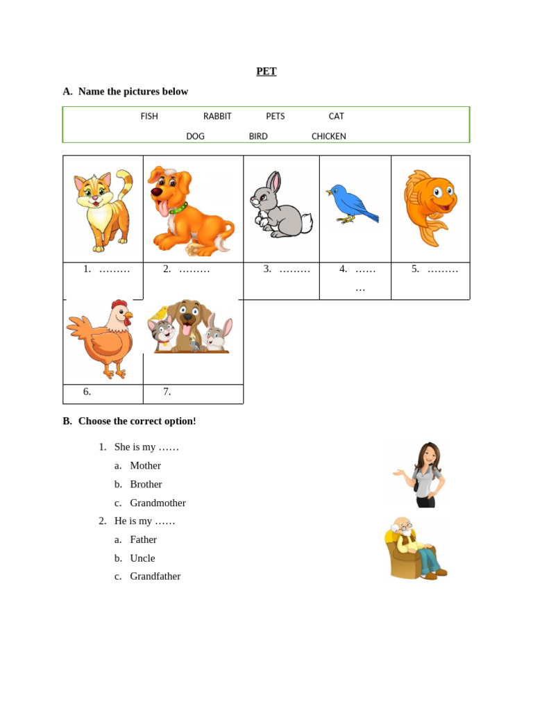 Pet and Family Vocabulary Quiz | PDF