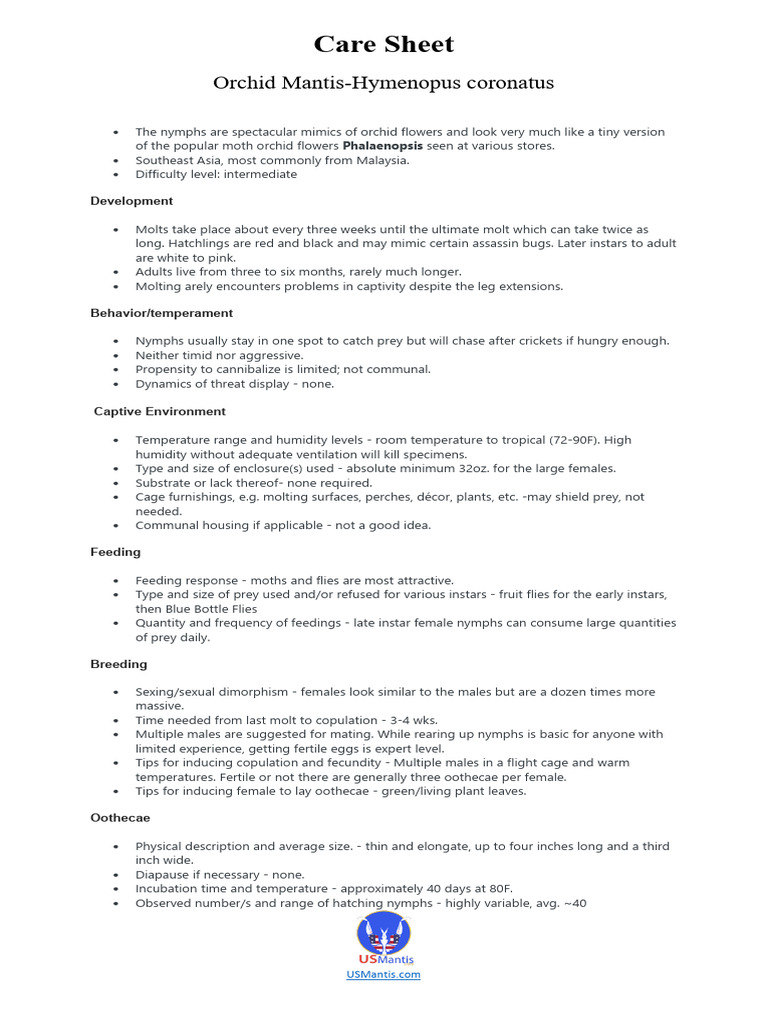 Orchid_Mantis_care_sheet | PDF | Fly | Insects