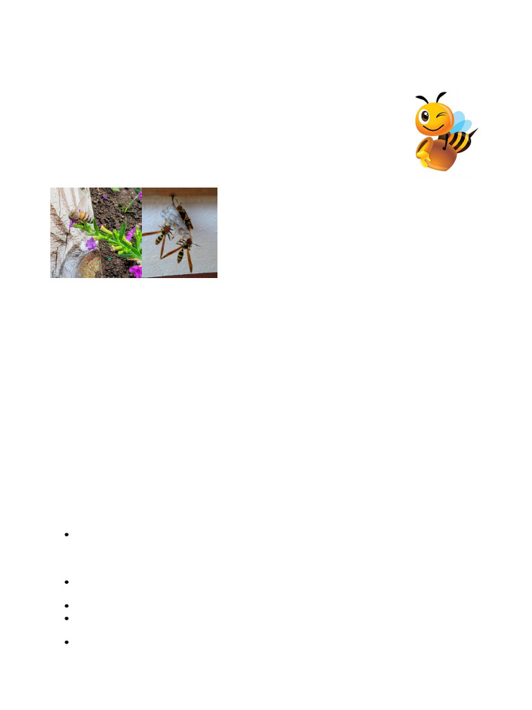 Abeja | PDF | Abejas | Colmena