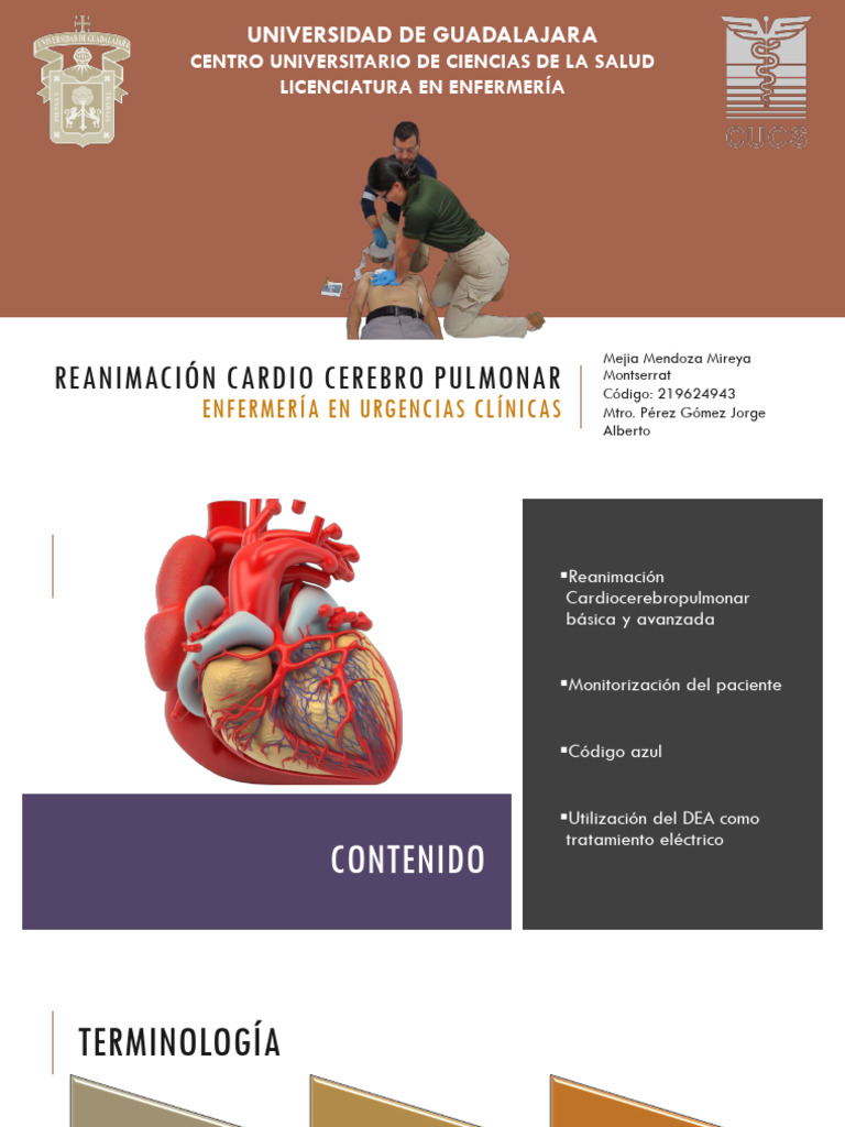 RCPB y RCPA | PDF | Reanimación cardiopulmonar | Especialidades Medicas