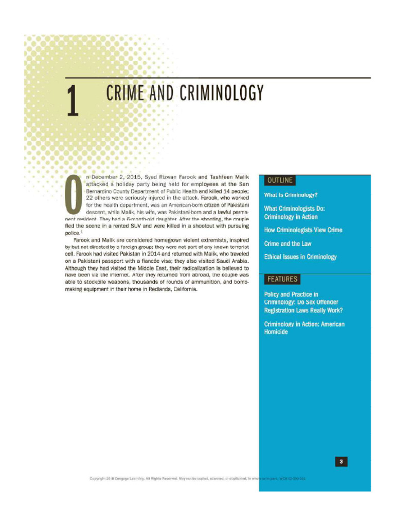 Intro To Criminology | PDF