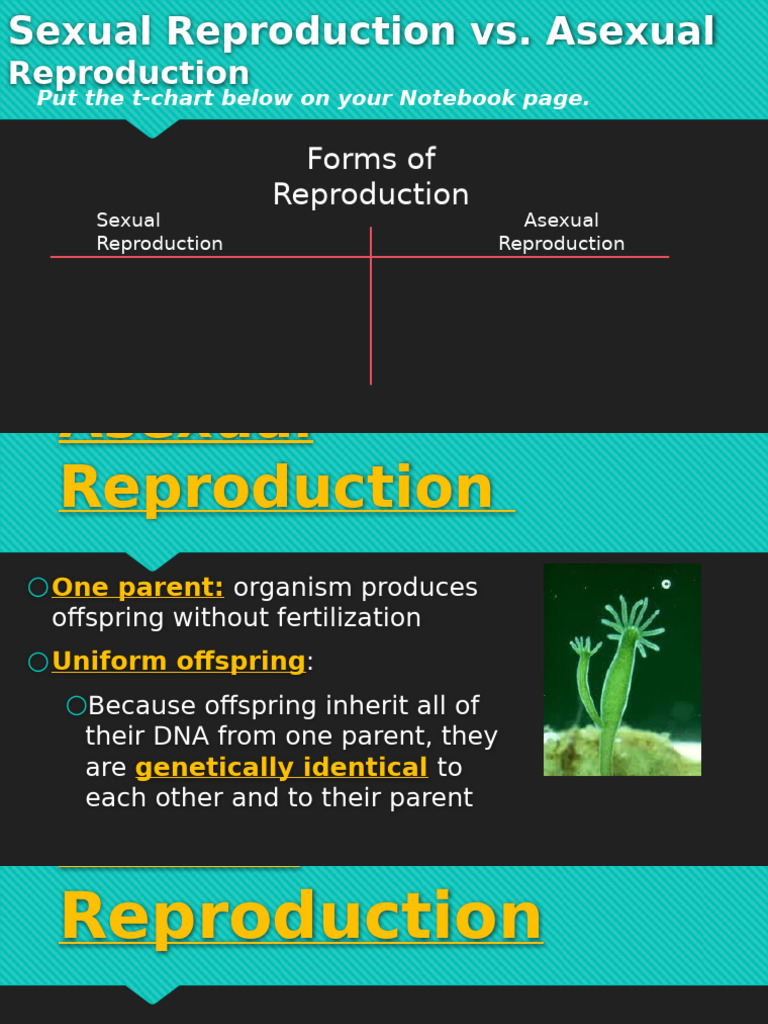 Sexual vs. Asexual Reproduction Guide | PDF | Sexual Reproduction | Reproduction