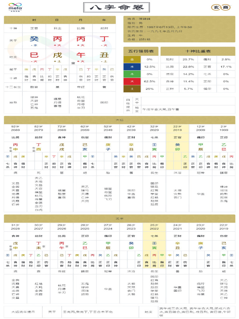 Meta Academy Lifechart | PDF