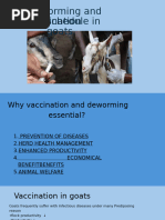 Goat Medication Guide and Dosages | PDF | Animal Feed