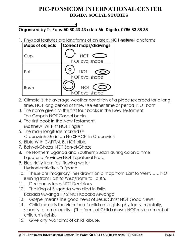 Common Mistakes in SST 2024 | PDF