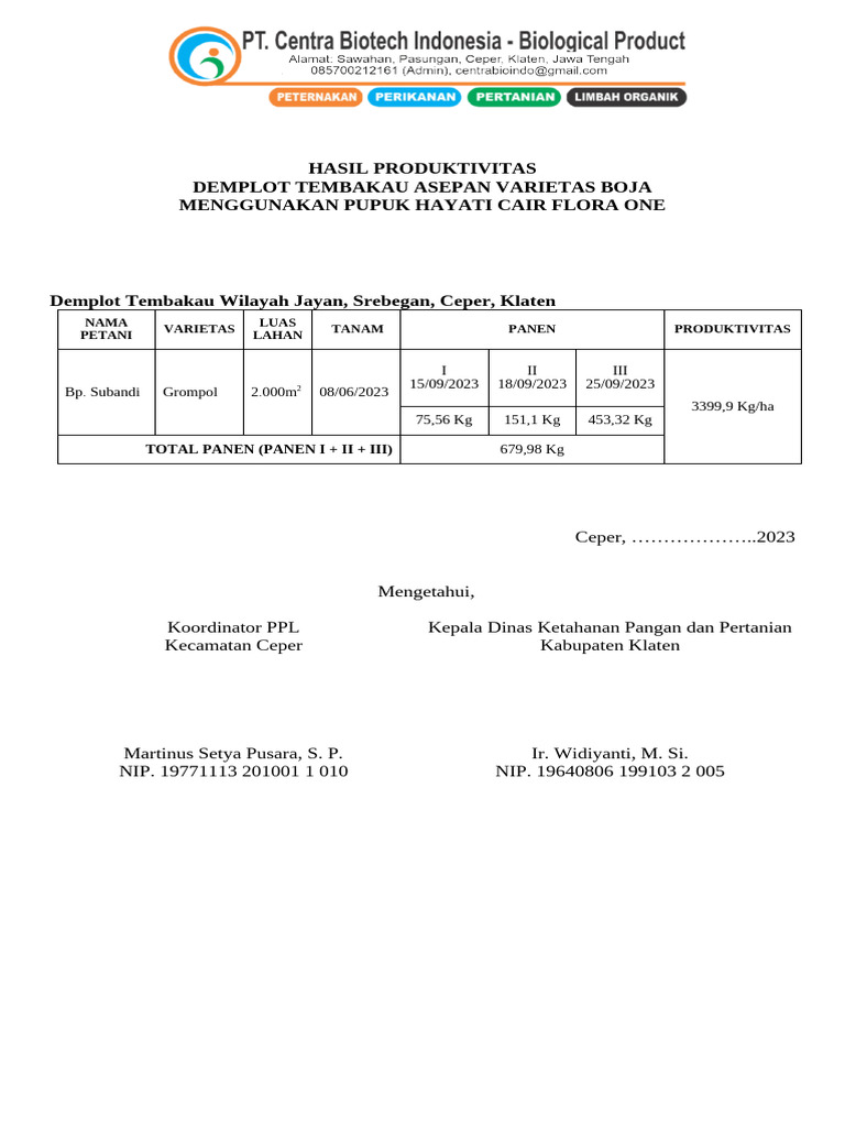 Produktivitas Demplot Tembakau Grobogan | PDF
