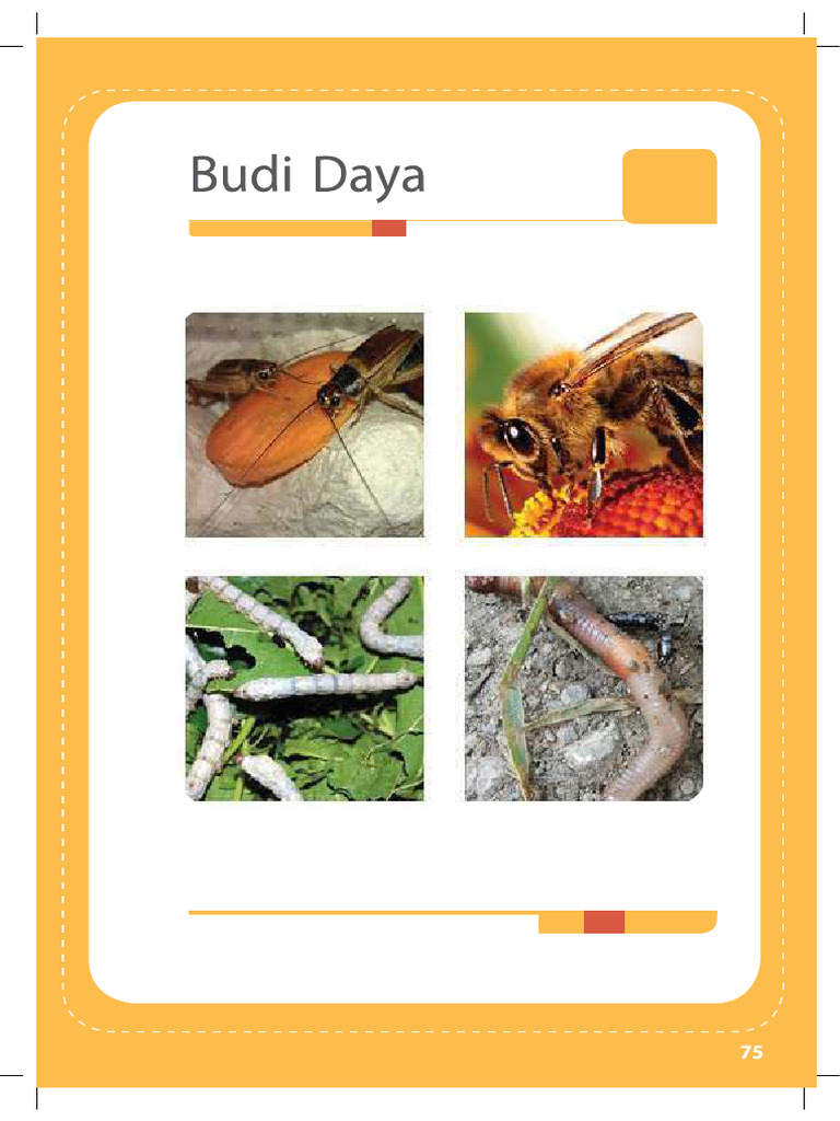 Budidaya Satwa HRP | PDF
