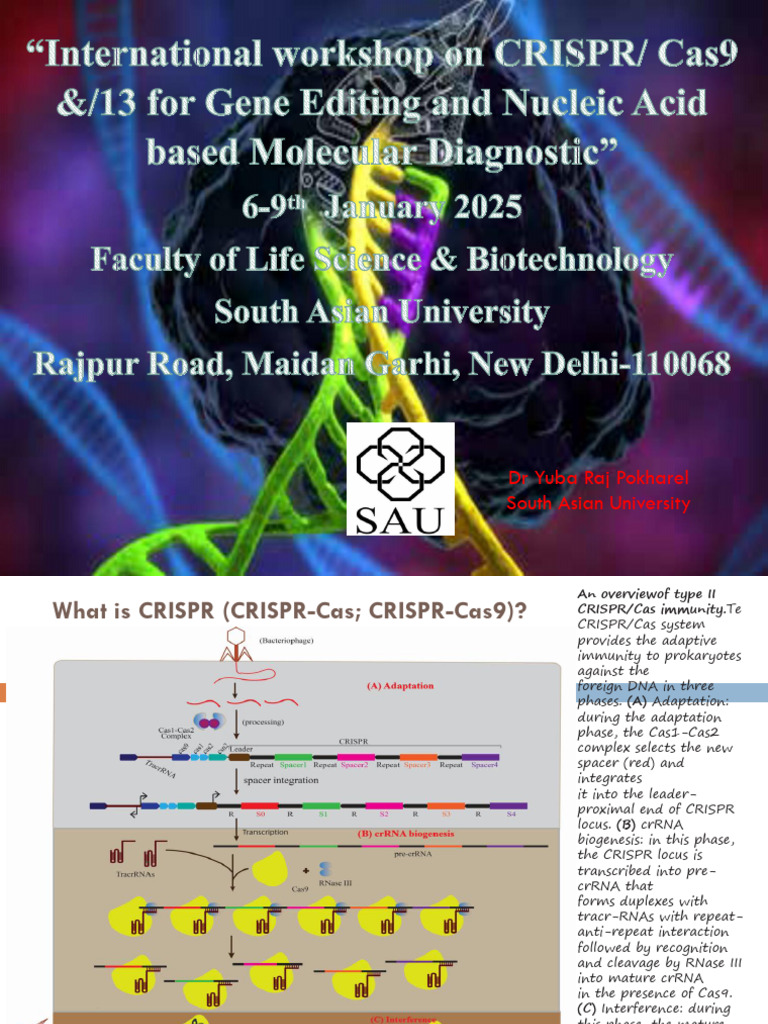CRISPR-Cas9 | PDF | Crispr | Dna