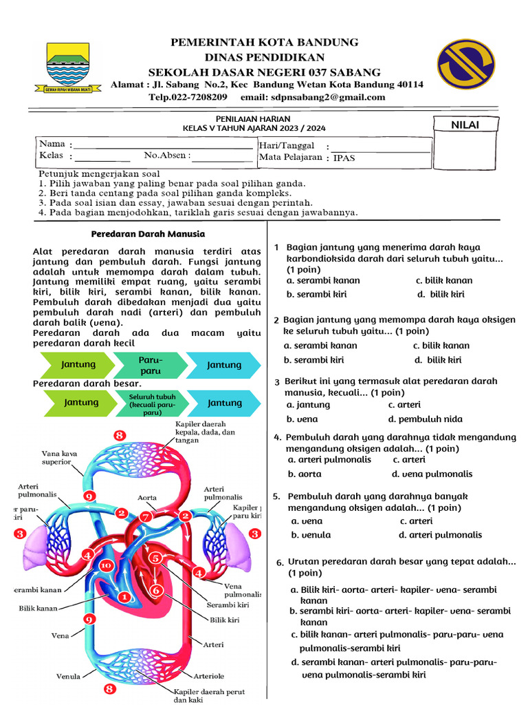 ph ipas peredaran darah (1) | PDF