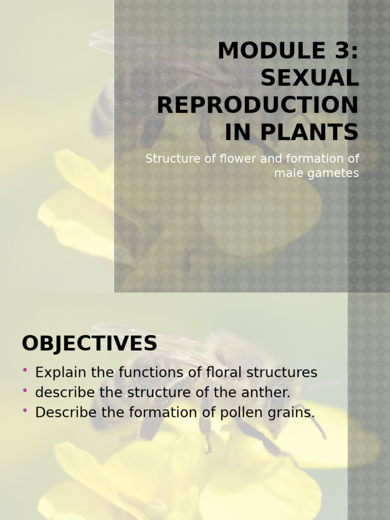 Sexual Reproduction in Flowering Plants | PDF | Flowers | Sexual ...