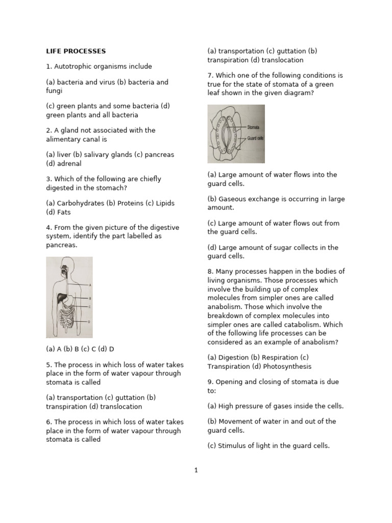 Class 10 Life Process Biology Chapter 1 | PDF | Atrium (Heart) | Heart