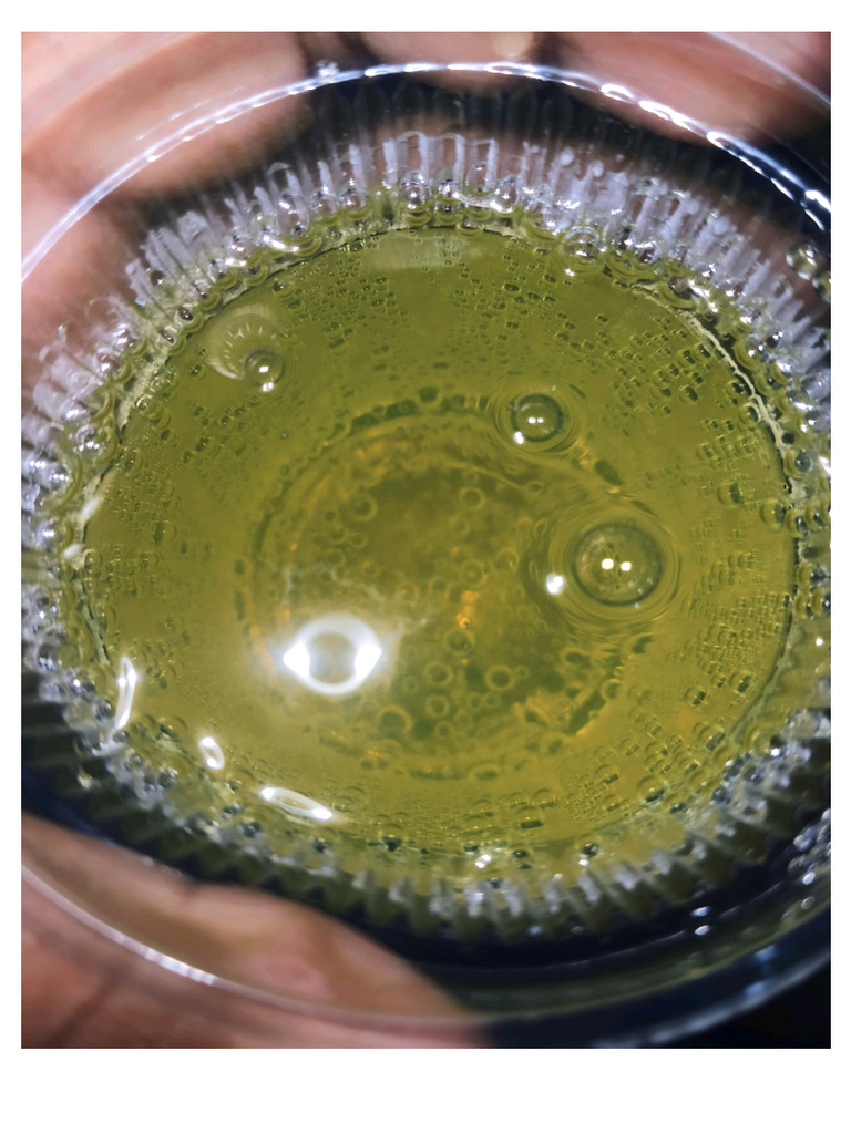 PDFGallery 20250320 083222 | PDF