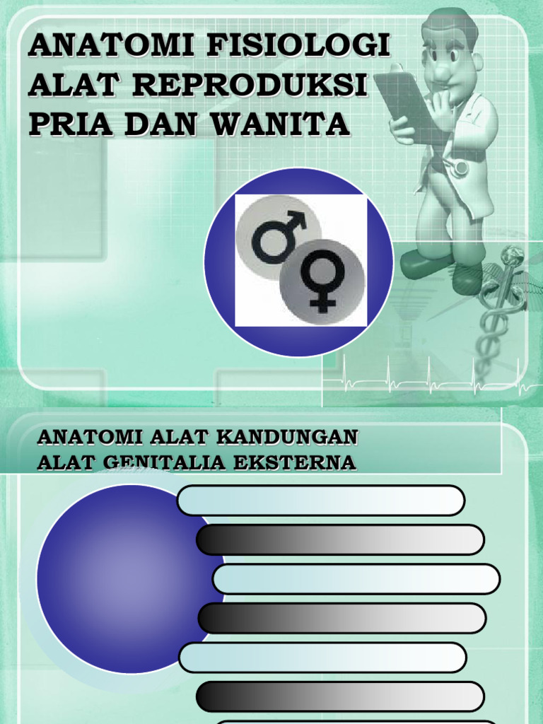 2. anatomi reproduksi-- | PDF