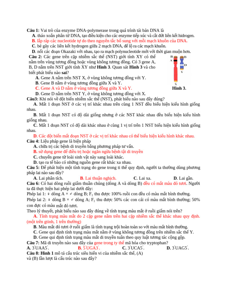 ON-TAP-LI-THUYET | PDF