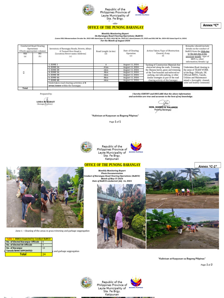 Leyte Barangay Road Clearing Report | PDF | Philippines