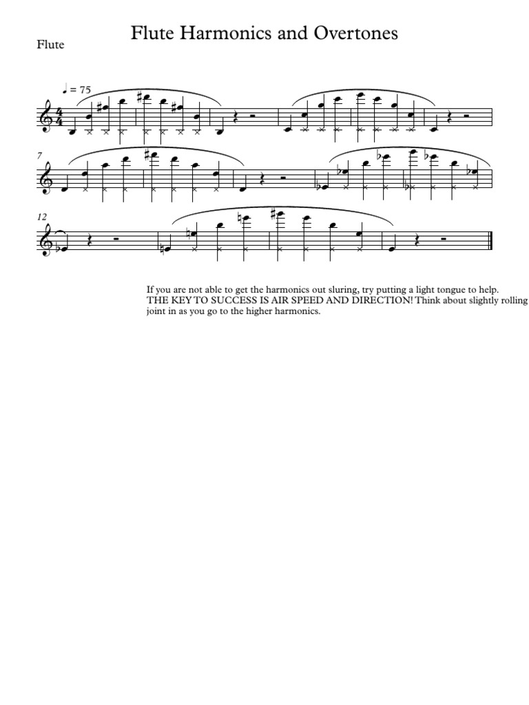 Flute Harmonics and Overtones | PDF