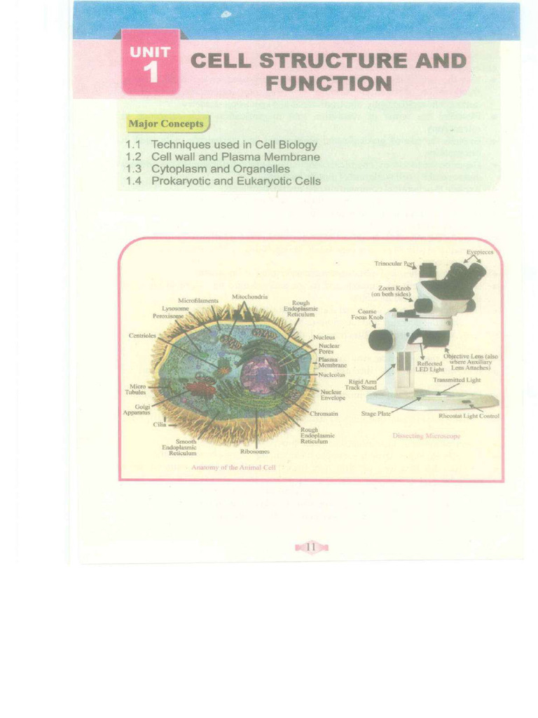 Notes For Mdcat | PDF