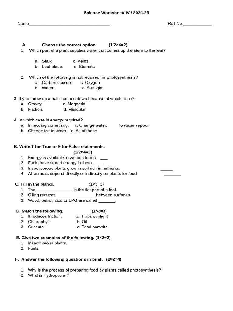 Class-IV Science Worksheet | PDF