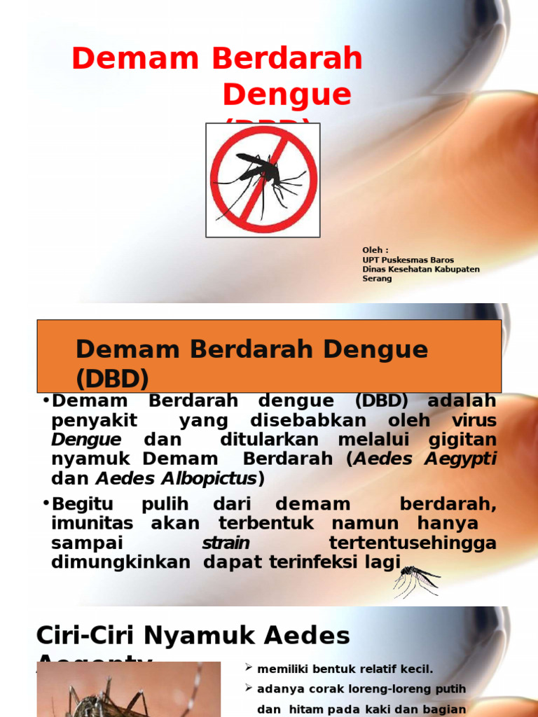 PPT materi penyuluhan DBD | PDF