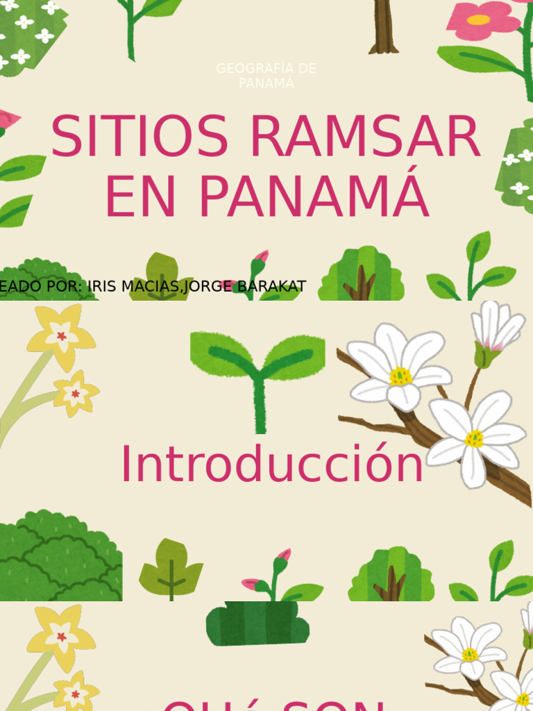 Trabajo Geografia de Panamá 20241007 225915 0000 | PDF