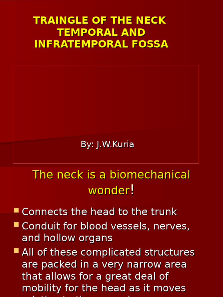 Head and Neck Triangles, Sub Mandibular, Parotid Region | PDF | Thyroid ...