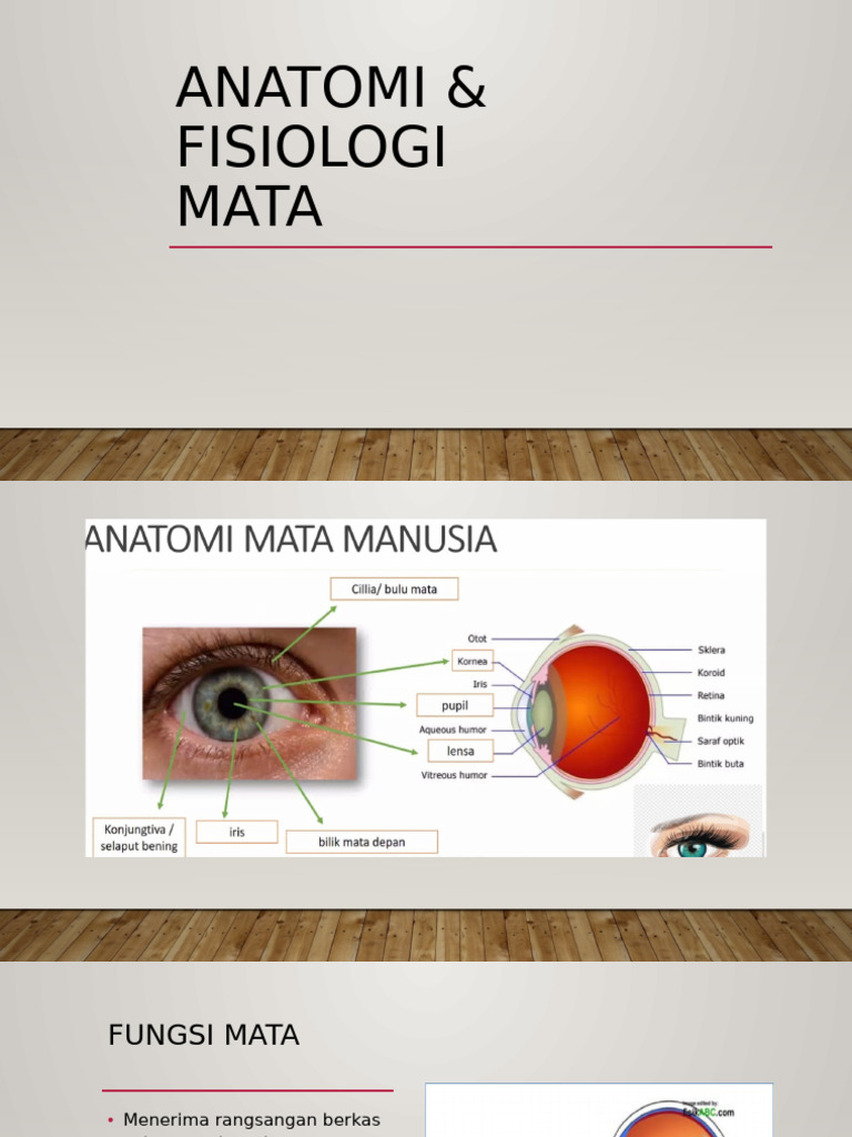 1 Anatomi Fisiologi Mata | PDF