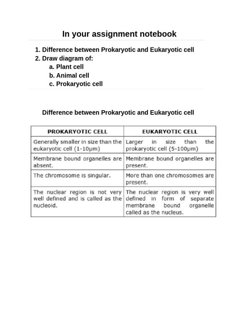 Class 9_Diagram cell | PDF