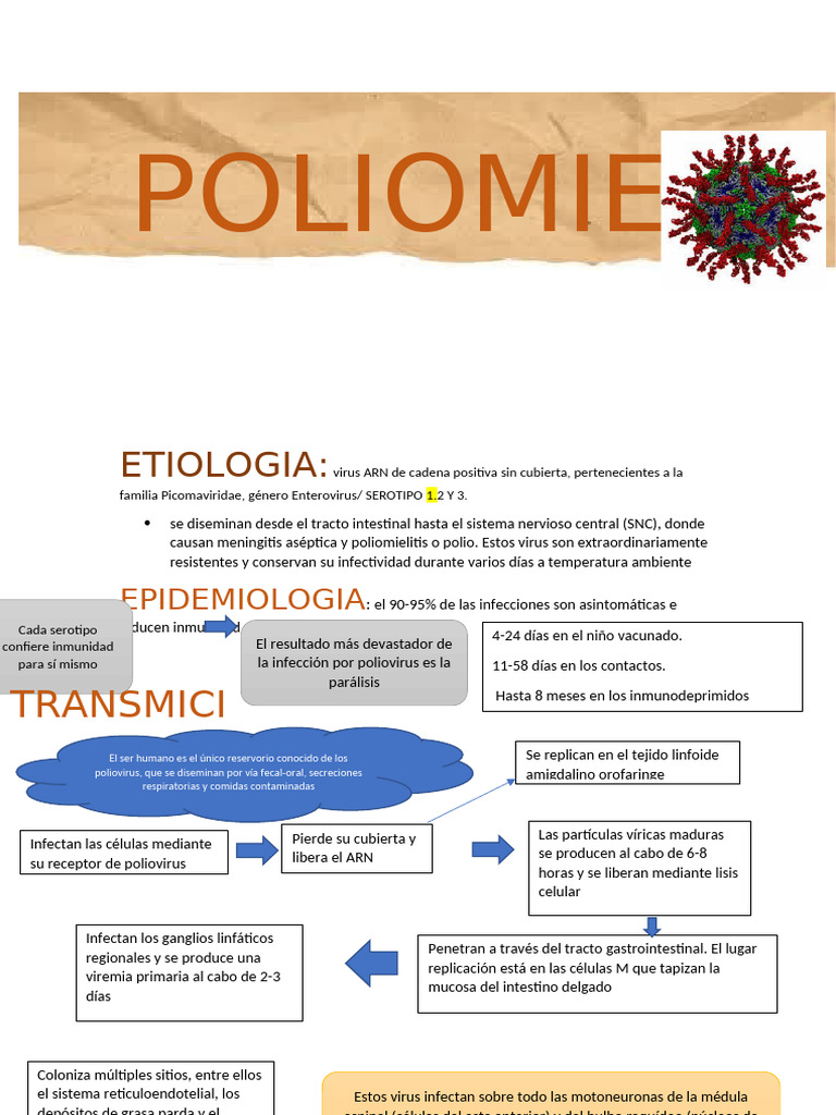 Poliomielitis: Etiología, Epidemiología y Tratamiento | PDF ...