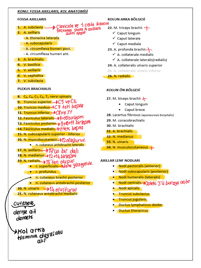 6. Ders - Fossa axillaris, Kol Anatomisi | PDF