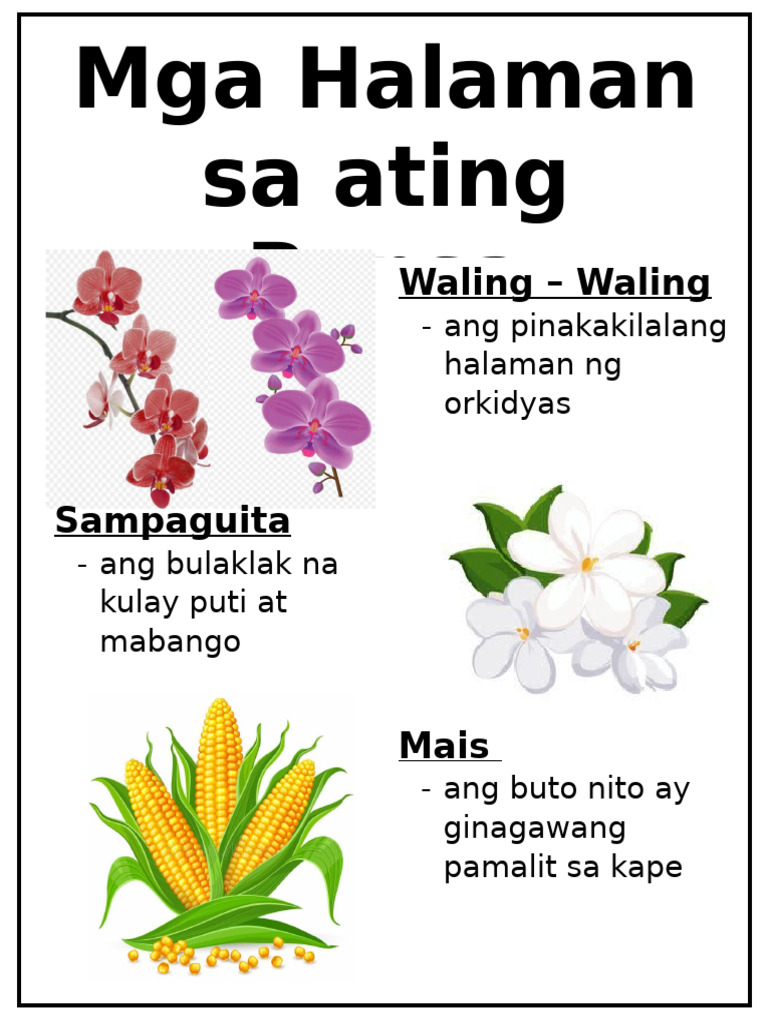 Halaman NG Ating Bansa | PDF