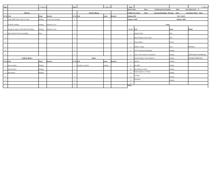 Office Work Report Format 17-03-2025 | PDF