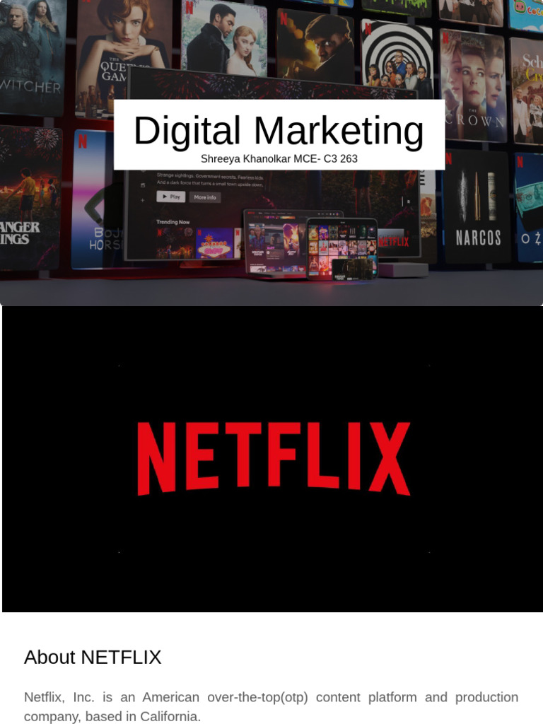 Netflix's Digital Marketing Strategies | PDF