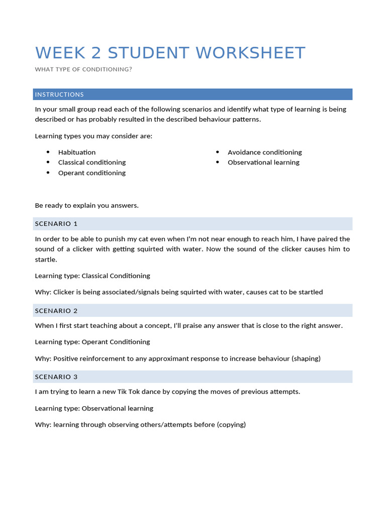 Learning - In-Class Worksheet | PDF