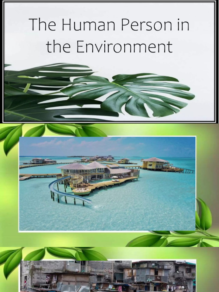 Understanding Frugality and Sustainability | PDF | Natural Environment ...