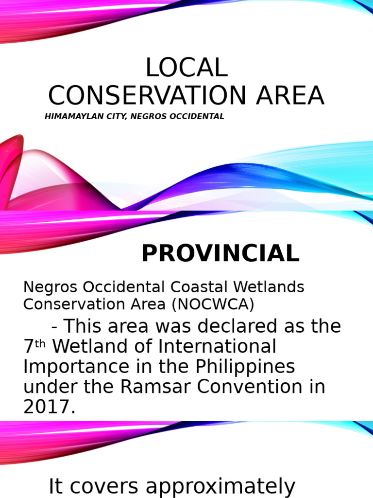 LOCAL CONSERVATION AREA | PDF