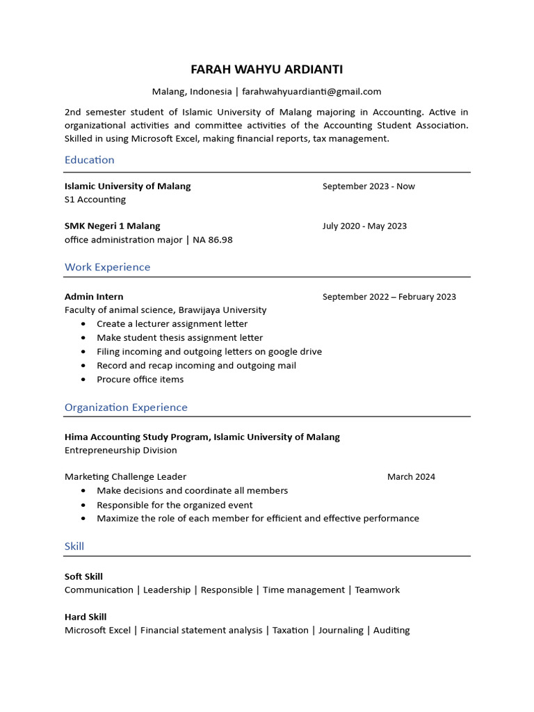 Accounting Student Profile: Skills & Experience | PDF